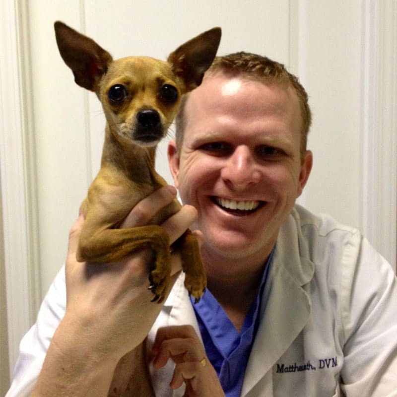 Bayview Pet Medical and Dental Center